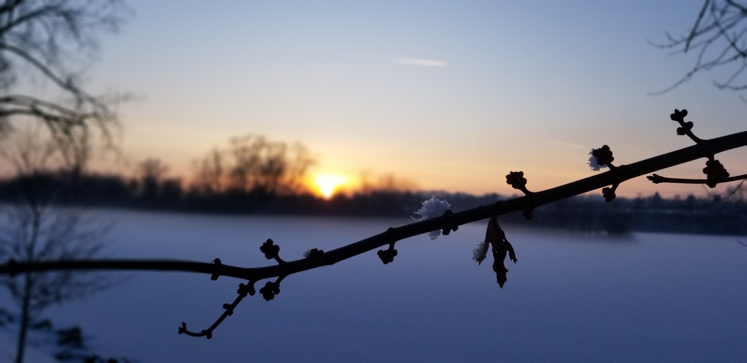 My Perspective Lens – Life as seen through the camera's lens